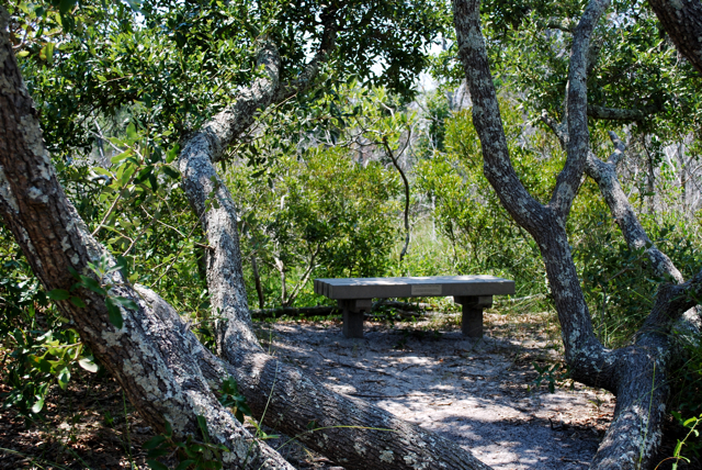 springers pt bench | Ocracoke Observer