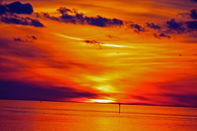 From the Observer Archives Spotted on Ocracoke: Toward a Civil Twilight ...