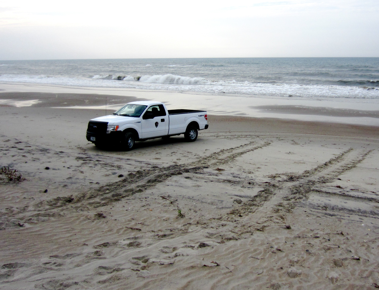 sea turtle crawl track | Ocracoke Observer