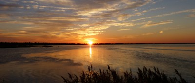 Lake Mattamuskeet plan ruffles feathers | Ocracoke Observer