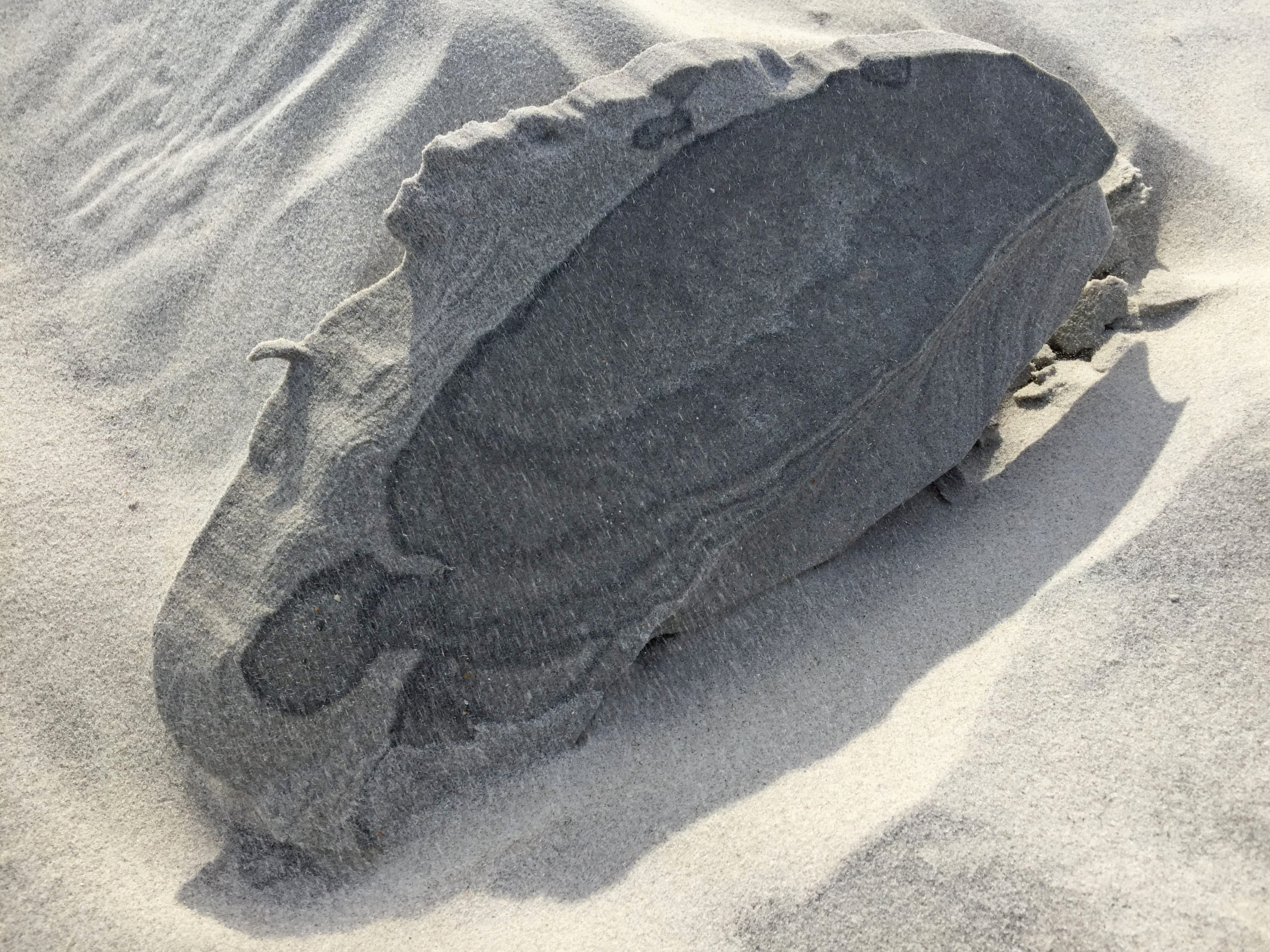 Sand rock | Ocracoke Observer