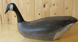 Root-head-decoy-logo- | Ocracoke Observer