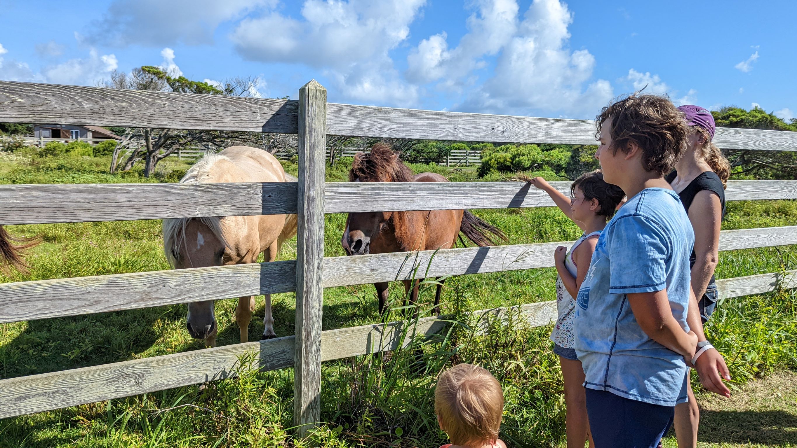 Ocracoke Observer | Community newspaper of Ocracoke, NC