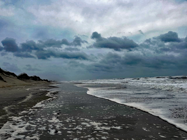 Beach Aug 8 CL | Ocracoke Observer